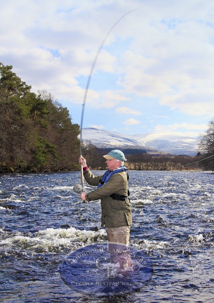 Photogallery - a taste of our images at Cairngorm Landscapes ...